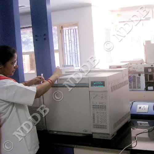 Photo Gallery | nddb.coop