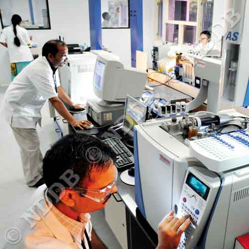 Photo Gallery | nddb.coop