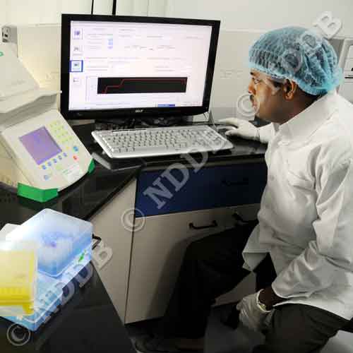 Photo Gallery | nddb.coop